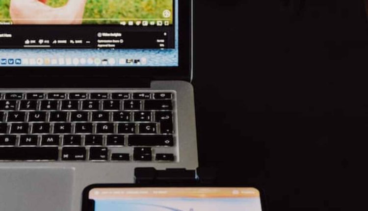 How To Find An Apex Learning Cheat Sheet East Bigmama